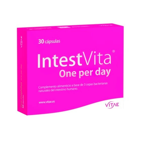 Intestvita One Per Day 30 Caps - Vitae